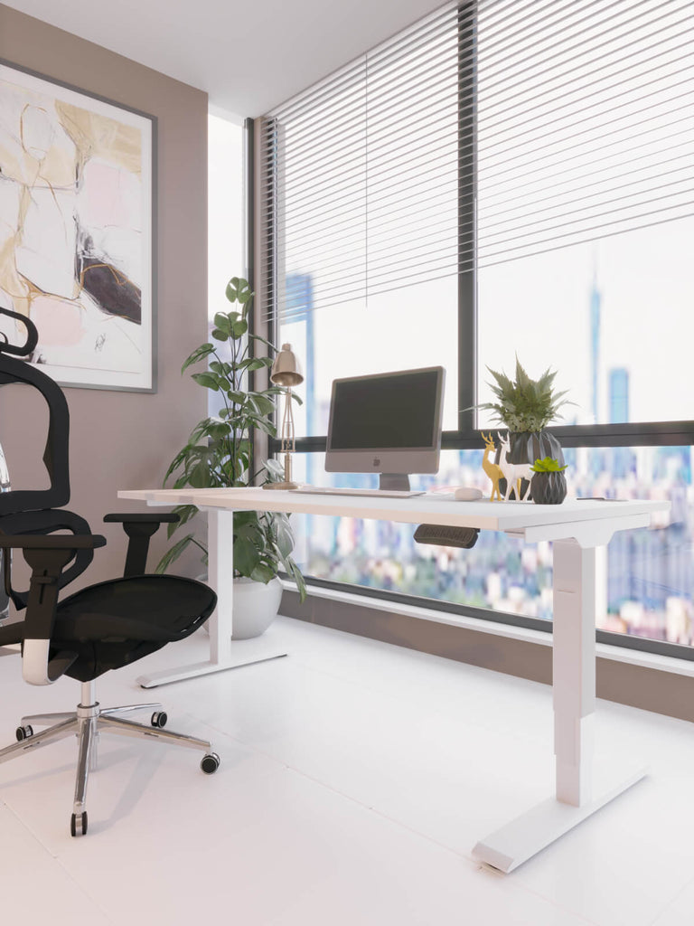 Ergolux standing desk store