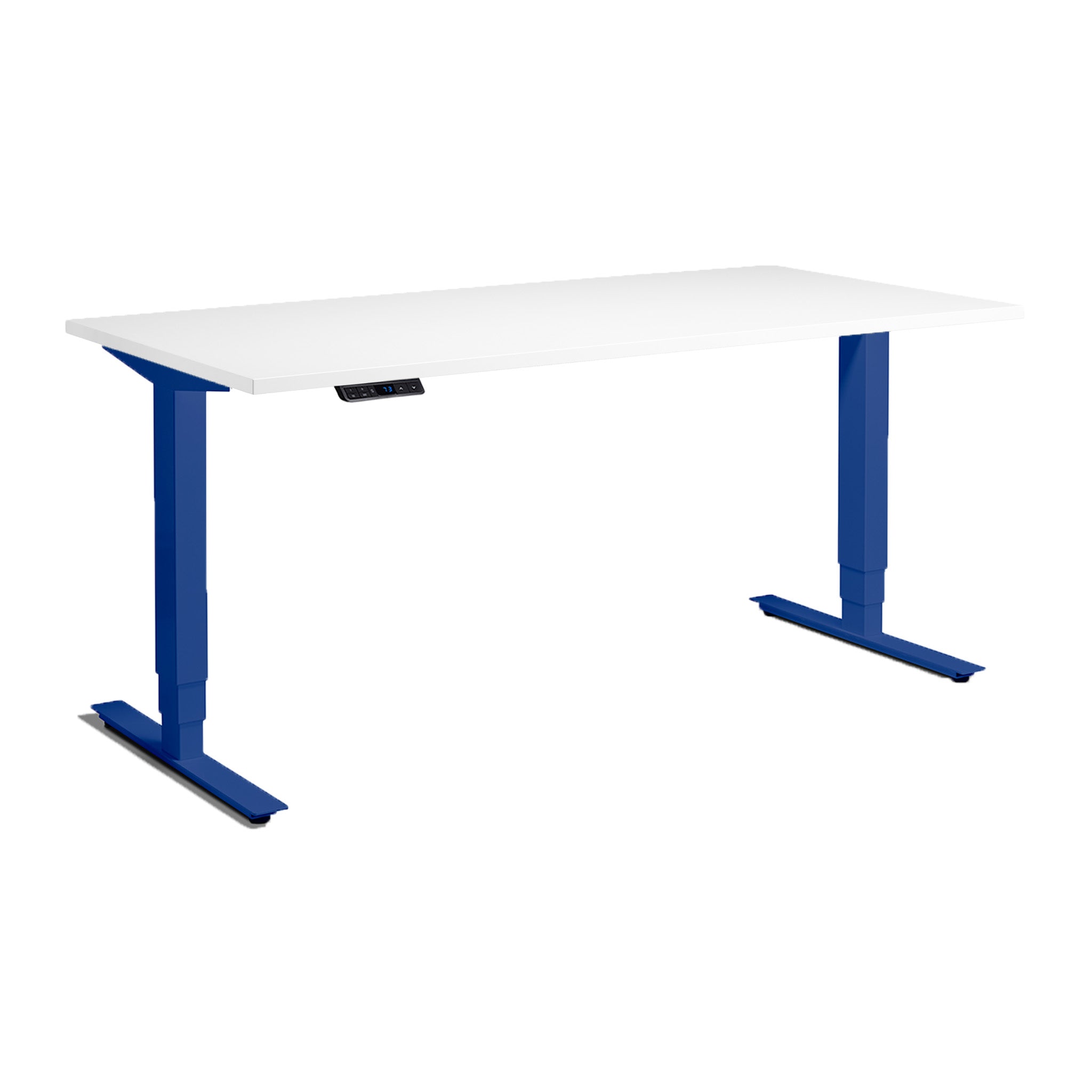 Royal Blue Electric Standing Desk – Ergo Desks