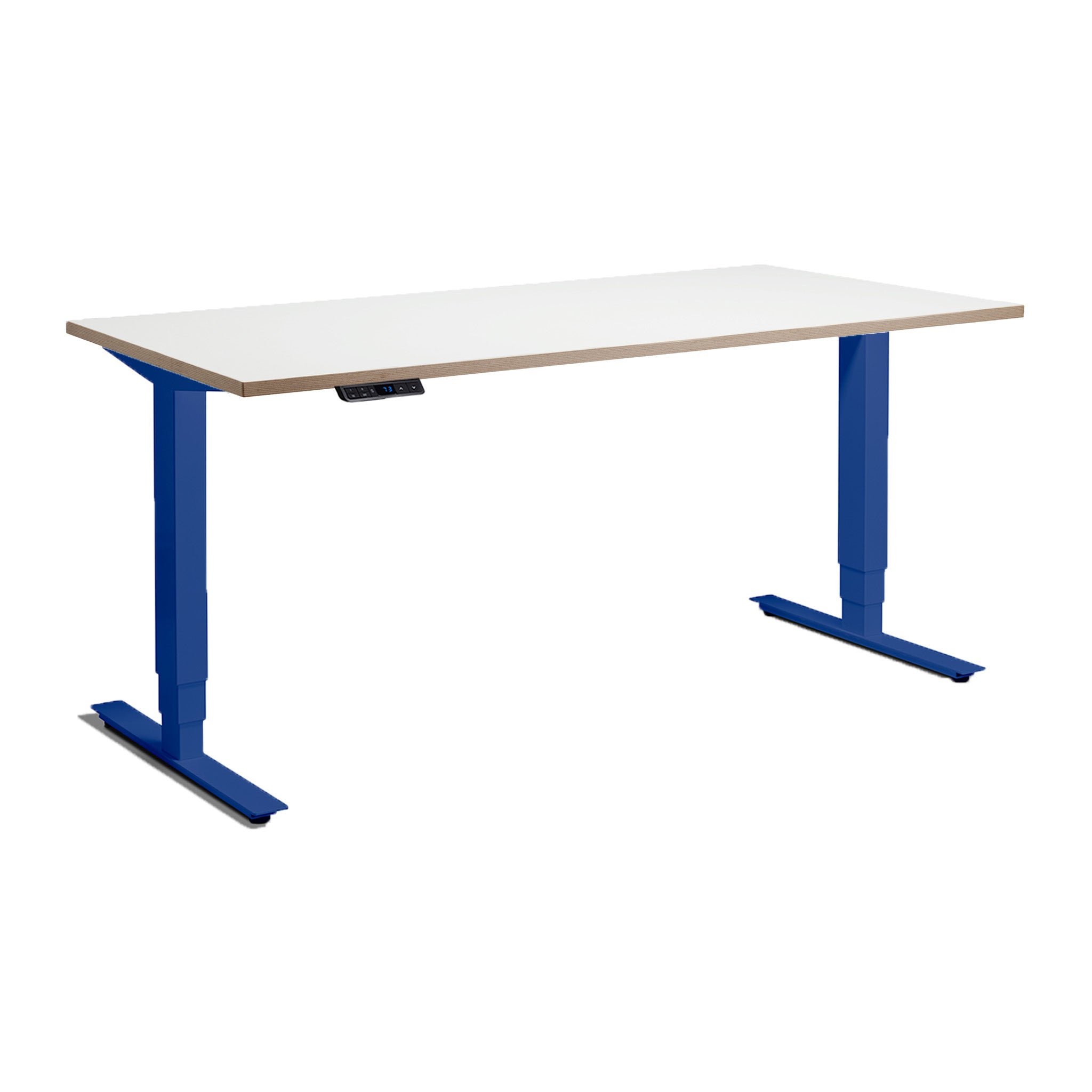 Royal Blue Standing Desk | Electric Height Adjustable – Ergo Desks