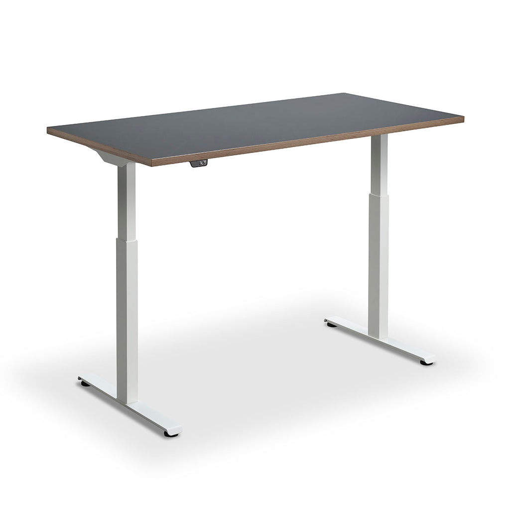 Kompakt Standing Desk | Electric Standing Desk | Ergo Desks